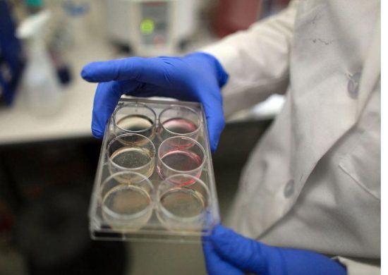 Η «χρυσή δεκάδα» των startups που εκτόξευσαν την αξία τους - Mononews.gr