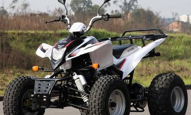 Συνεχίζεται η "μάχη της γουρούνας" - Κινητοποιήσεις σε Νάξο και Μύκονο ...