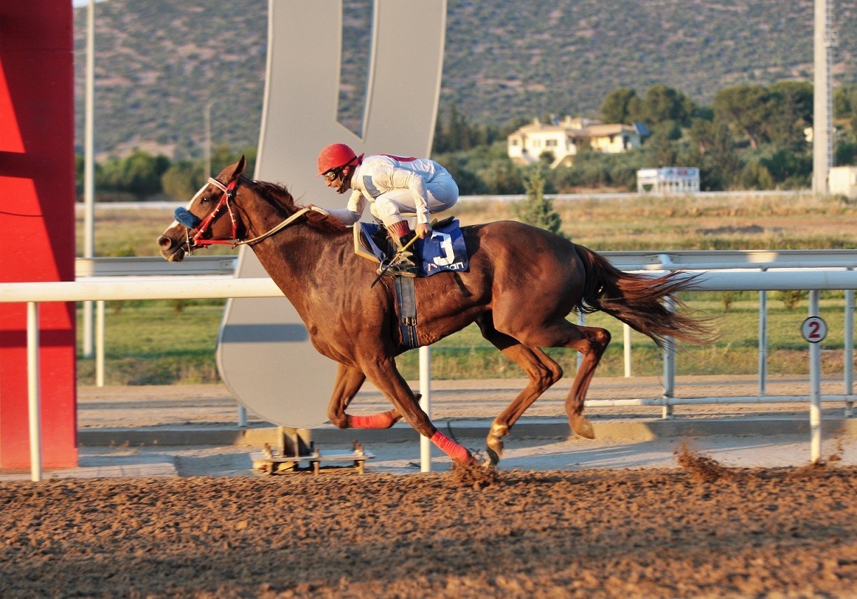 Markopoulo Park: Έξι δυνατές κούρσες που υπόσχονται συναρπαστικό θέαμα ...