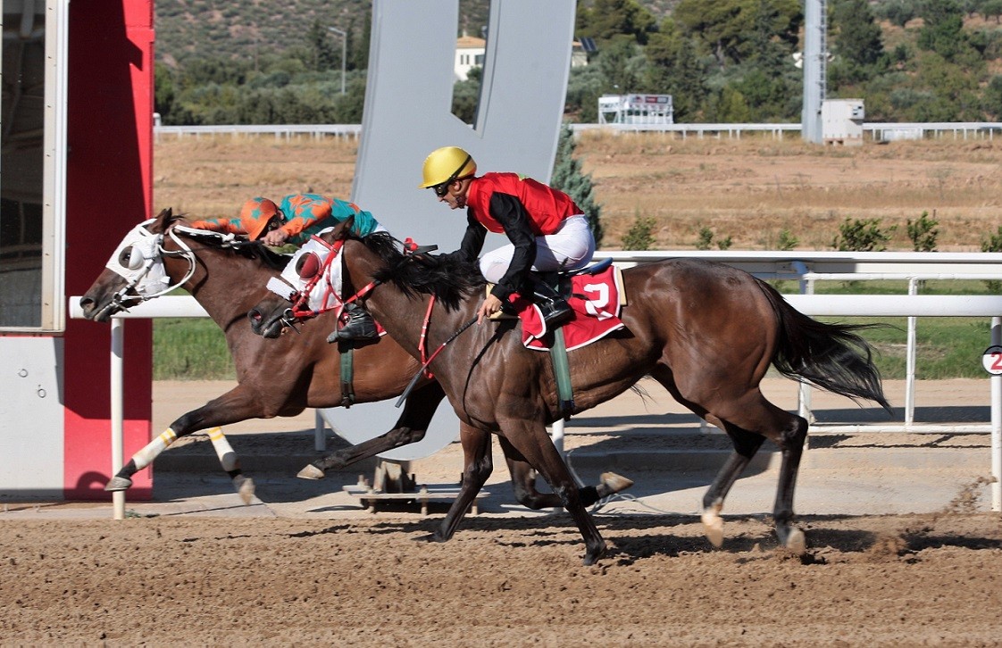 Markopoulo Park: Επτά κούρσες με 48 ίππους που υπόσχονται δυνατές ...