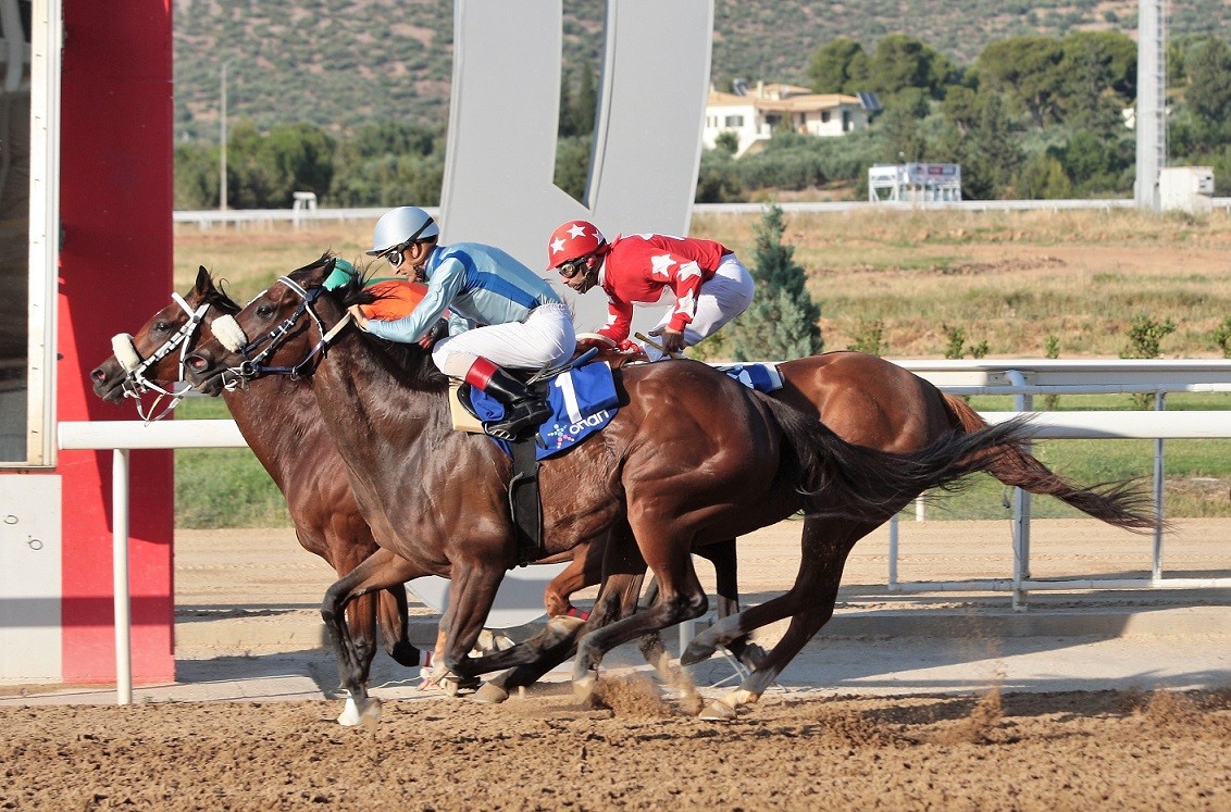 Markopoulo Park: Μοναδικό θέαμα με έξι κούρσες και το 2ο Off-Road ...