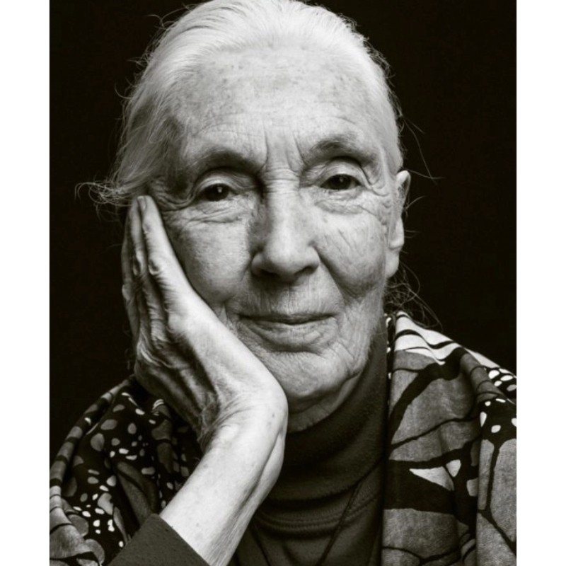 Jane Goodall: Η ζωή και το έργο της θρυλικής πρωτευοντολόγου - Mononews.gr