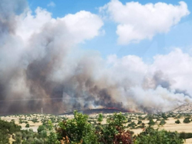 Κύπρος: Πυρκαγιά στην επαρχεία Λεμεσού, εκκενώνεται χωριό - Mononews.gr