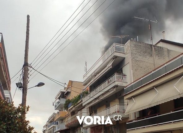 Θεσσαλονίκη: Συγγραφέας ο 81χρονος που αυτοκτόνησε καίγοντας το σπίτι ...
