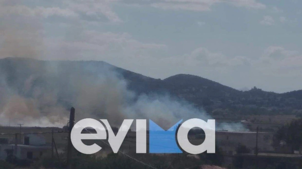 Εύβοια: Φωτιά κοντά στο χωριό Κριεζά - Mononews.gr