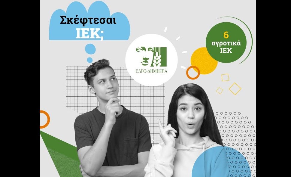 Έως τις 15 Σεπτεμβρίου οι εγγραφές στα ΔΙΕΚ του ΕΛΓΟ-ΔΗΜΗΤΡΑ - Mononews.gr