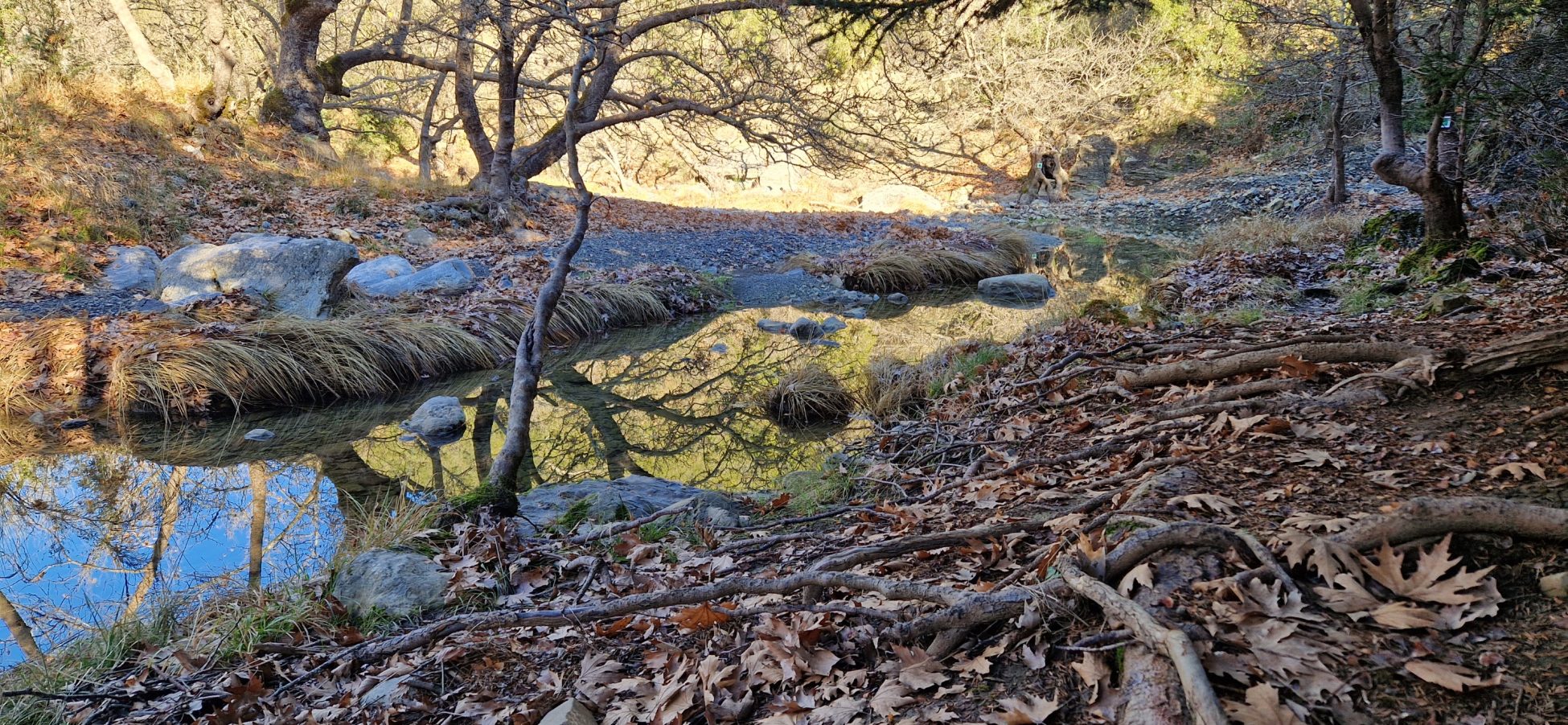 Menalo Trail: Περπατώντας Βυτίνα – Νυμφασία! - Mononews.gr