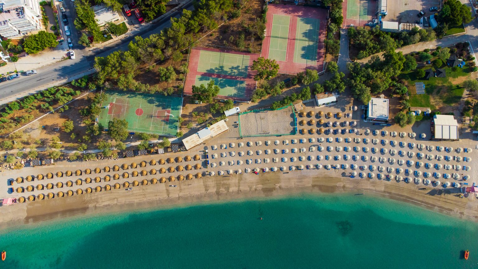 Δωδώνη: Βούλιαξαν στην κρίση του γάλακτος τα κέρδη της ...