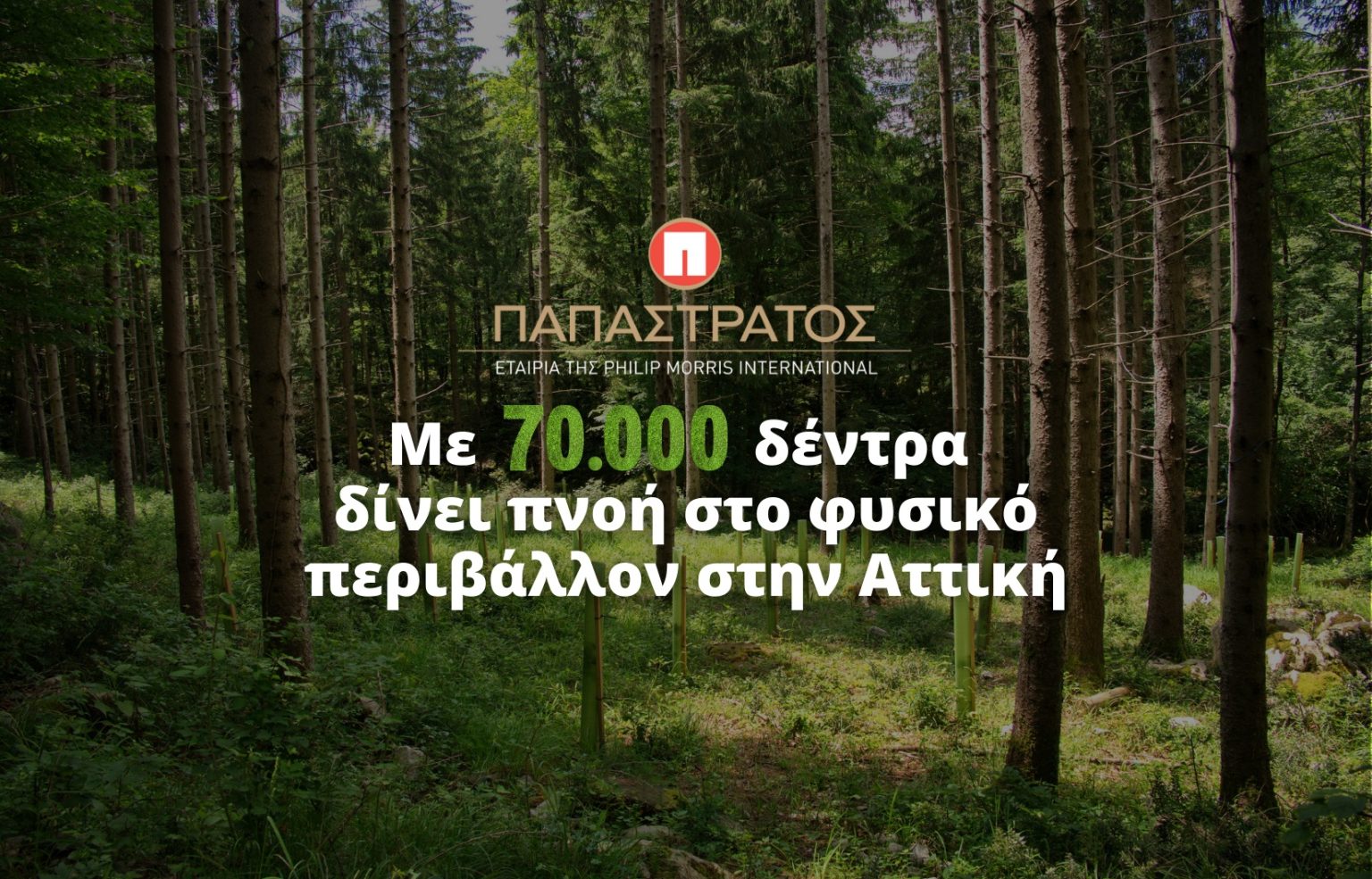 Παπαστράτος: Με 70.000 δέντρα δίνει πνοή στο φυσικό περιβάλλον στην ...