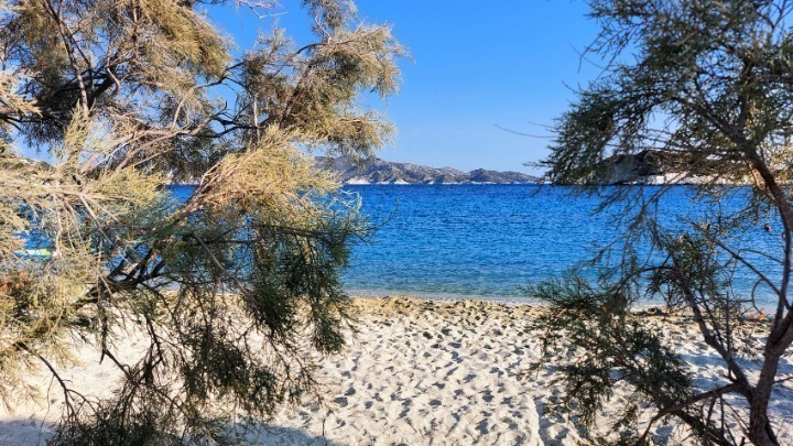 Βόλος: Απαγόρευση κολύμβησης σε δεκάδες παραλίες - Mononews.gr