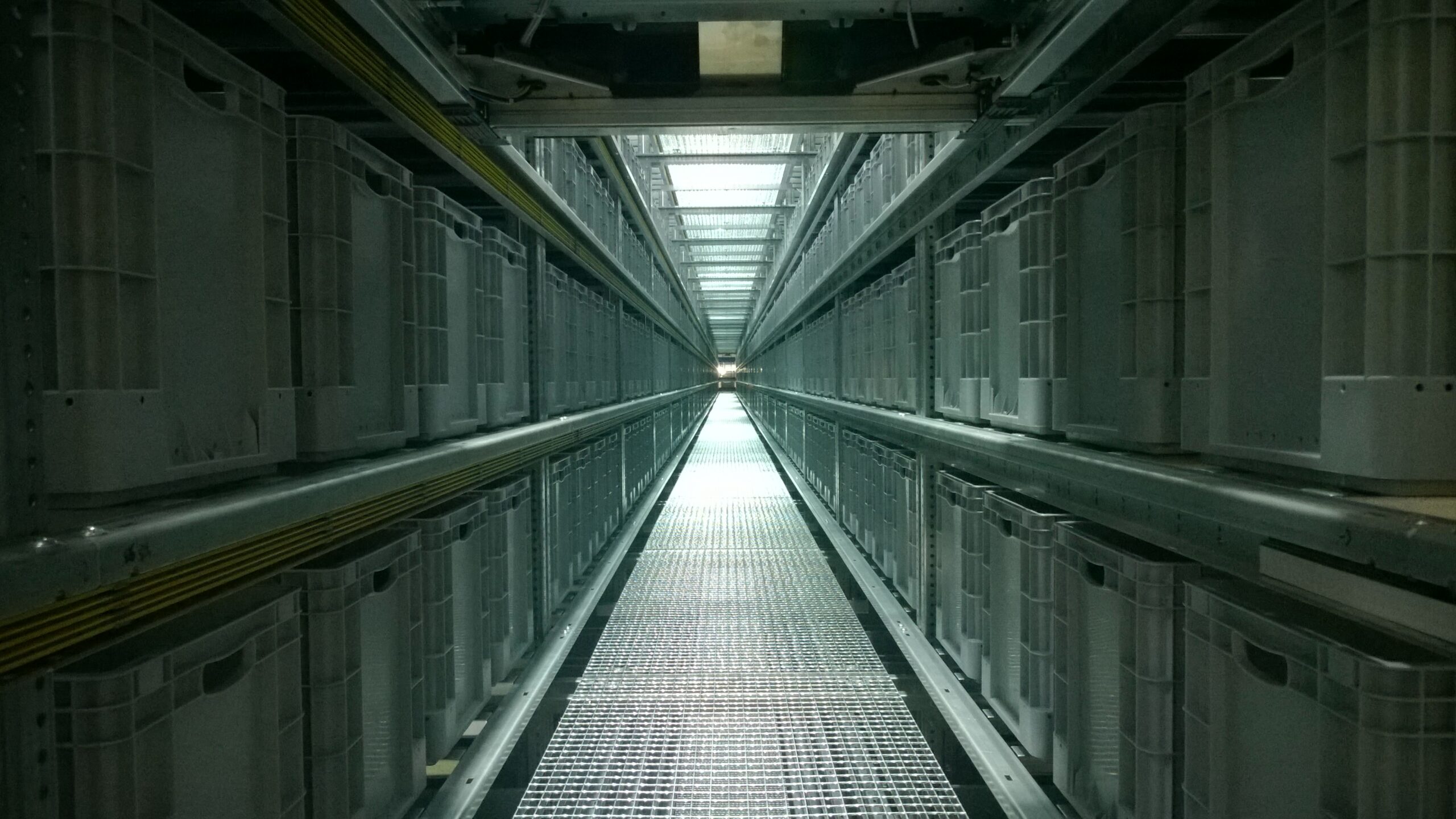 Trade Logistics: Η «ραχοκοκαλιά» της εφοδιαστικής αλυσίδας του Ομίλου Fourlis - Mononews.gr