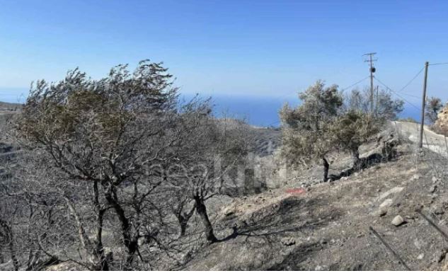 Μεγάλες καταστροφές από τη φωτιά στο Σέλινο Χανίων - Mononews.gr