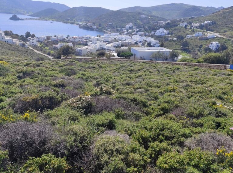 Από τις μεγάλες εργολαβίες στους πλειστηριασμούς – Στο σφυρί «Έδραση ...
