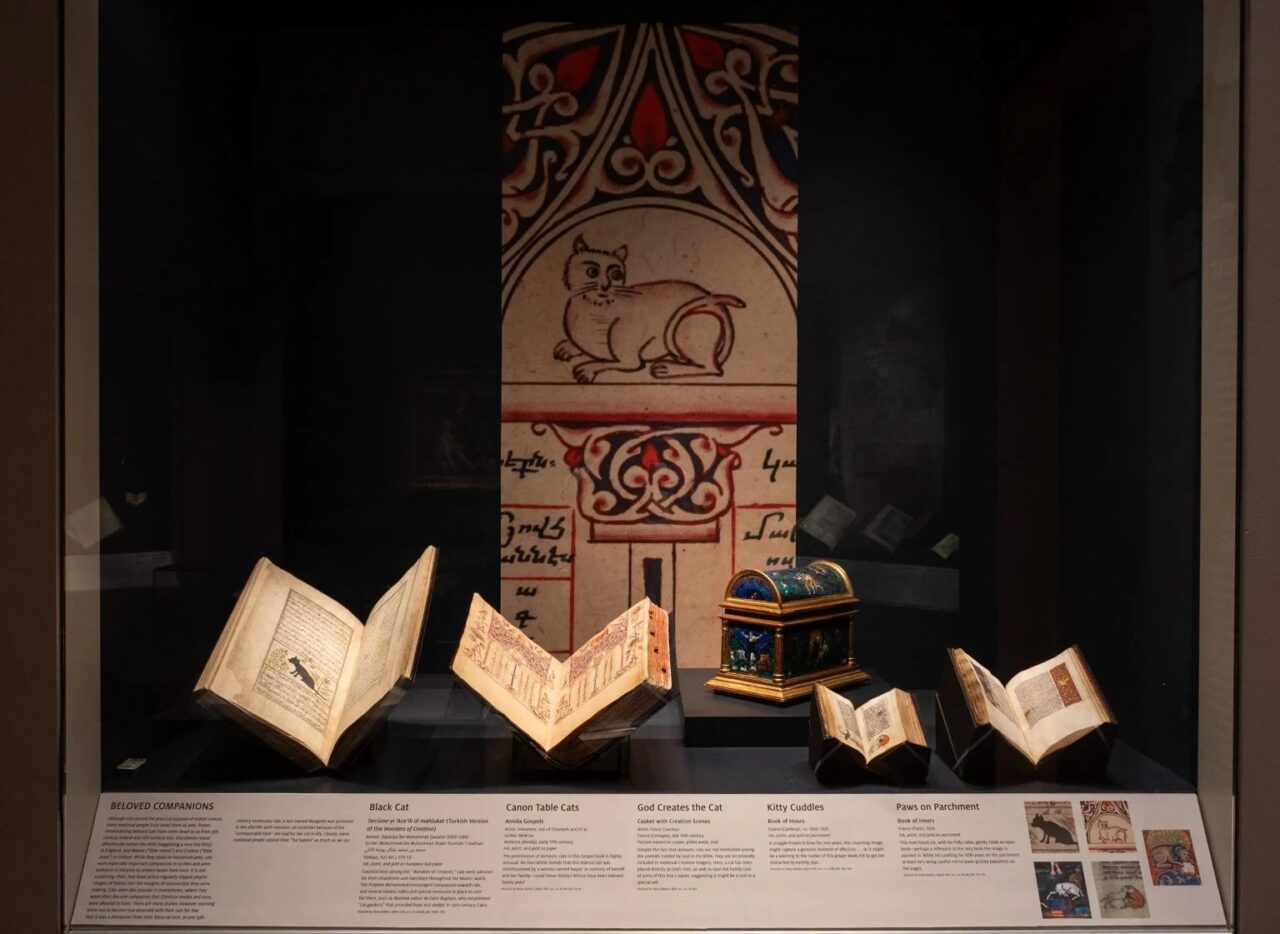 Πατούσες επί χάρτου - Μια άτακτη γάτα και μία έκθεση - Mononews.gr