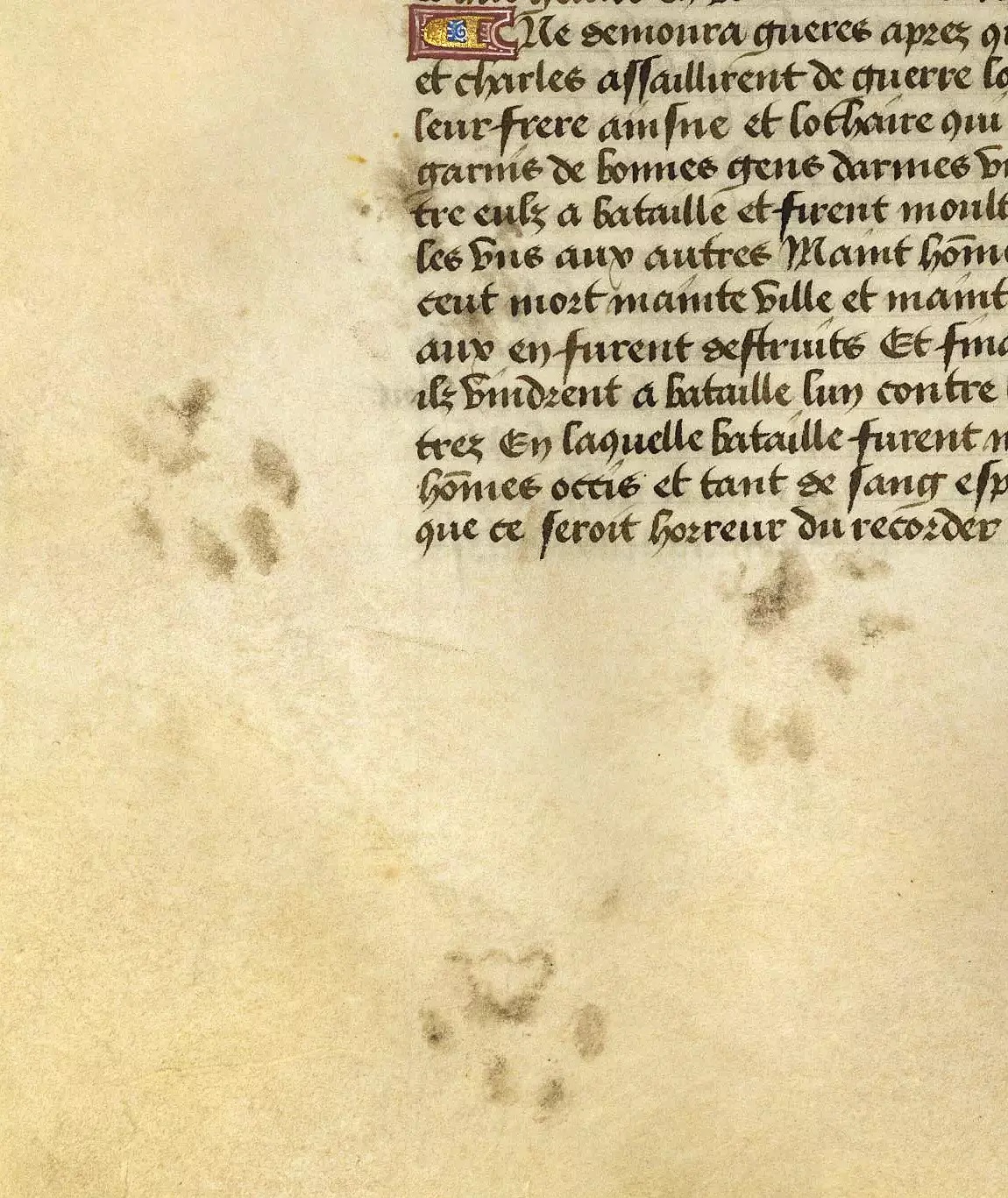 Πατούσες επί χάρτου - Μια άτακτη γάτα και μία έκθεση - Mononews.gr